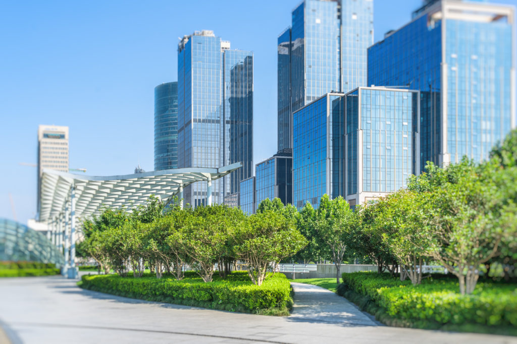 Commercial Landscape Design: Little Details That Make a Big Difference