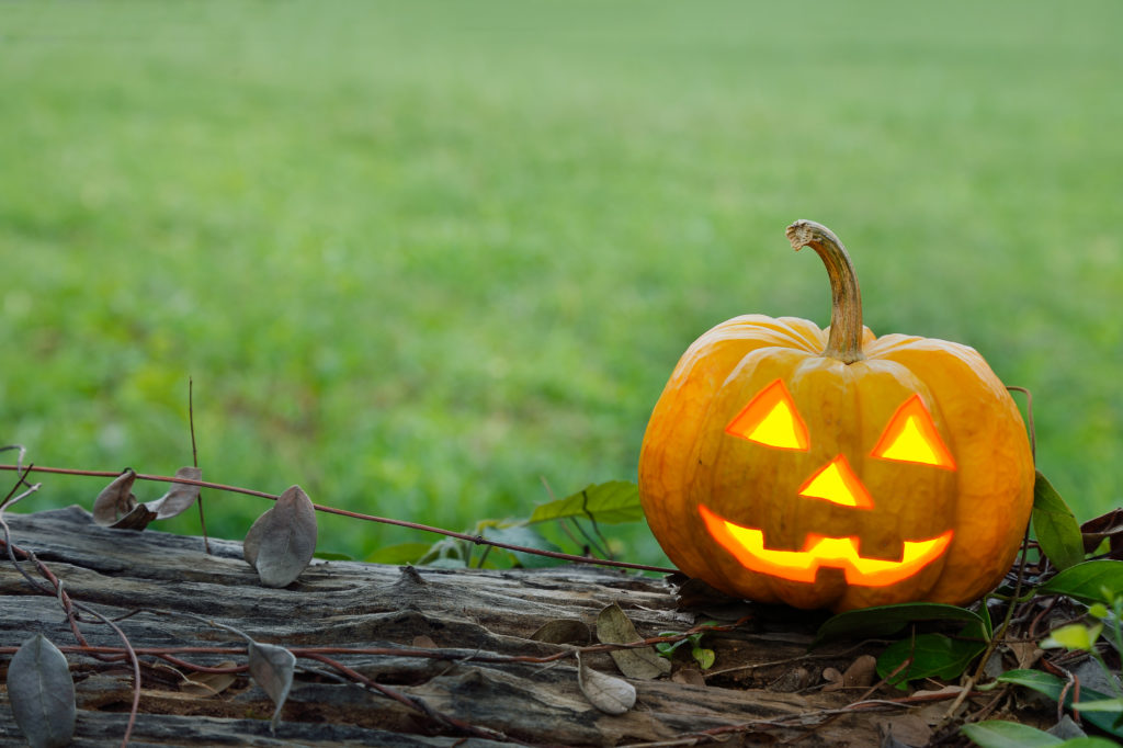 Spooky Halloween Garden Decoration Ideas