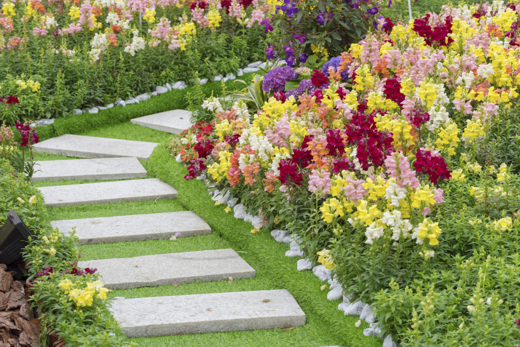 How to Incorporate Stunning Colours in Your Garden Design