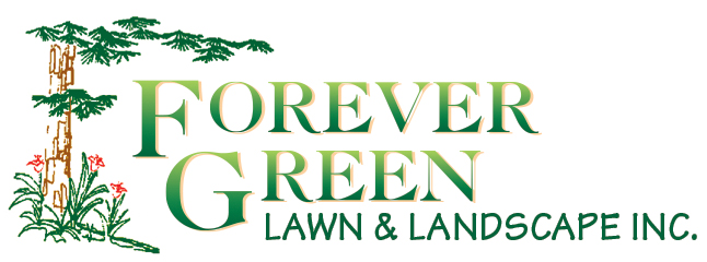 Residential, Commercial Landscape Services Brampton – Forever Green